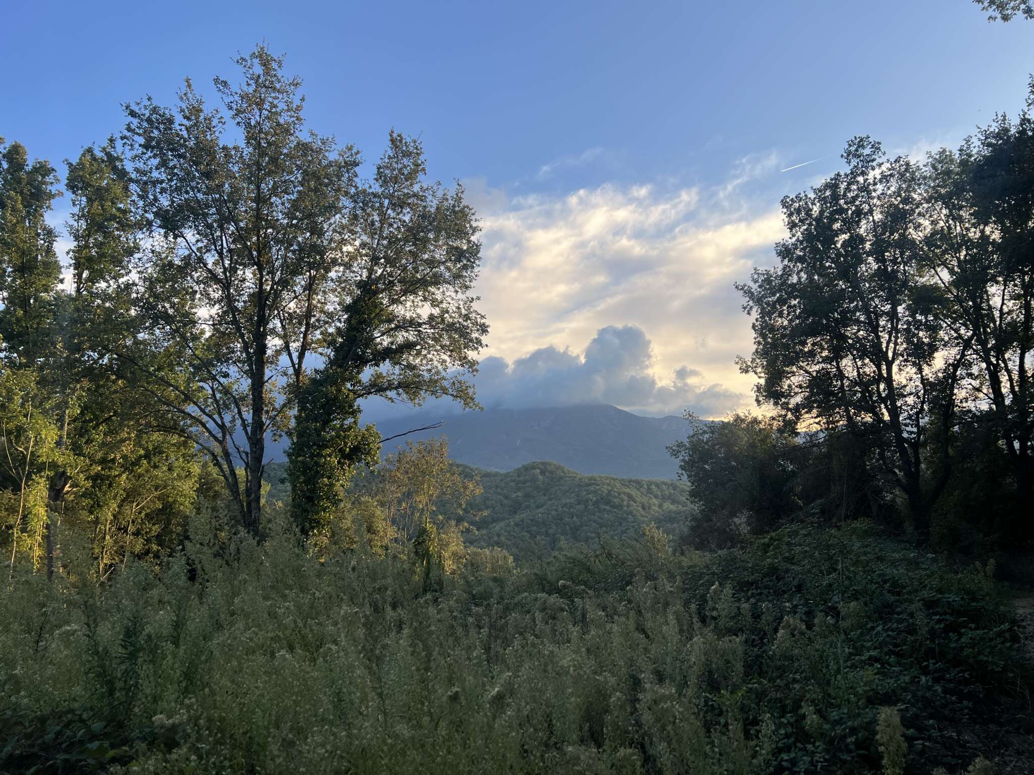 My Journey to Spain - Meddeas
